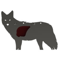 Atlas Target Works Coyote Side Profile Reactive Targets ATWFSRCSPTWLS38 ...