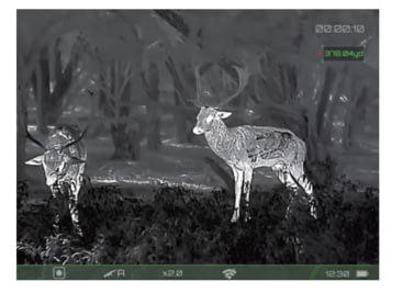 Rix Optics Storm S3 3.5x35mm Thermal Imaging Rifle Scope RIX STORM S3 R ...